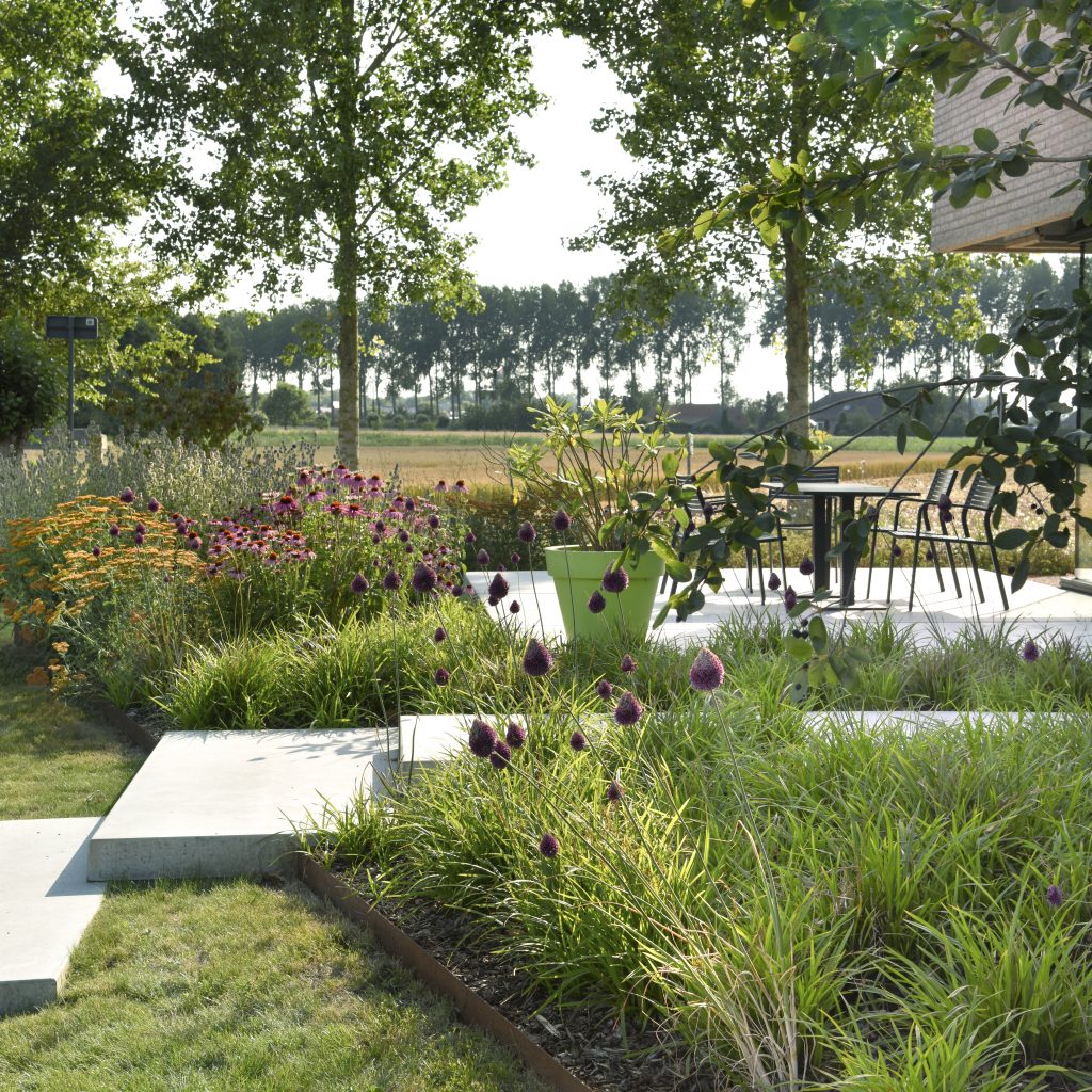 Moderne Bloementuin in Assenede - Tuinen
